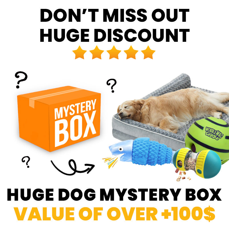 Huge Dog Mystery Box (+100$ VALUE) – ThePupperly